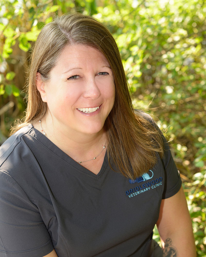 Our Team | Bridlewood Veterinary Clinic